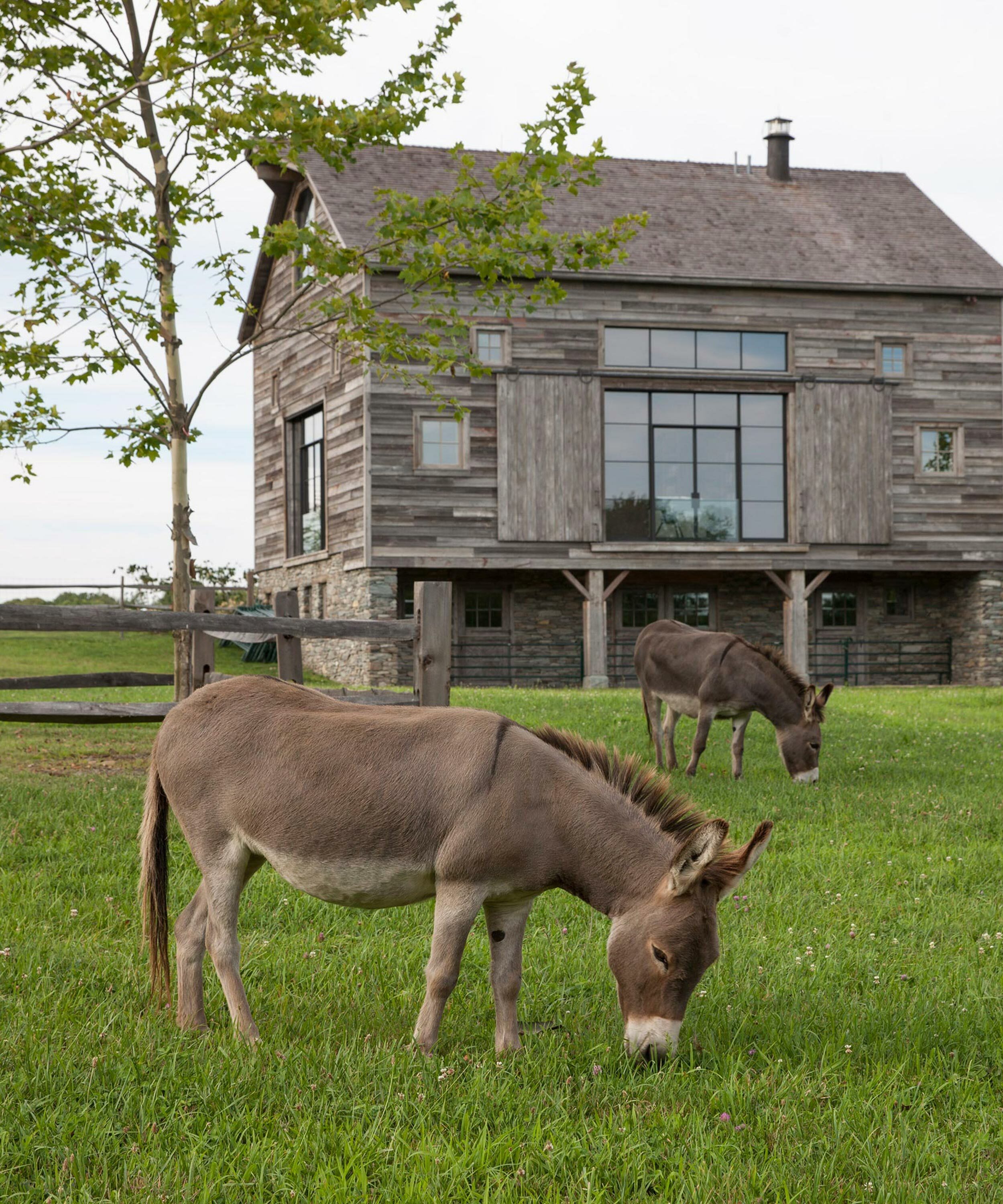 Hoerr Schaudt | New England Farm