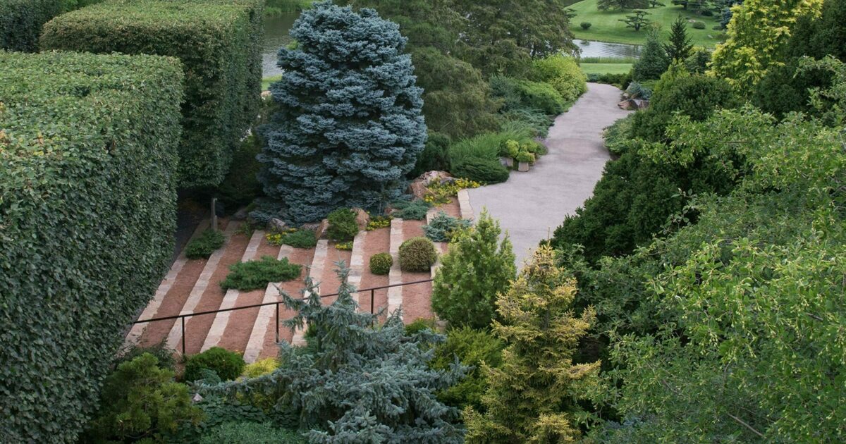 Hoerr Schaudt | Chicago Botanic Garden Dwarf Conifer Garden